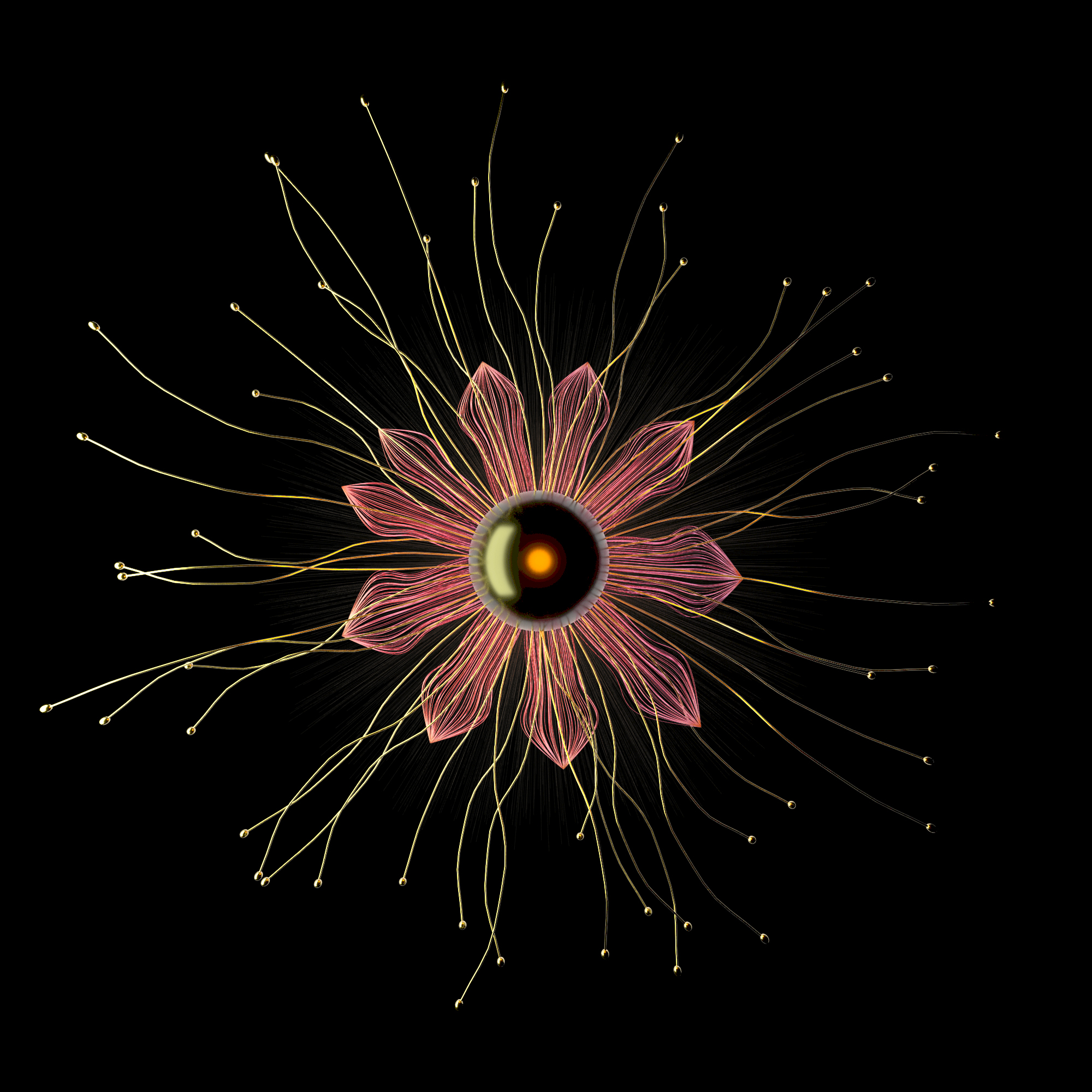 Digital Flowers – Rea Silvia Feriozzi